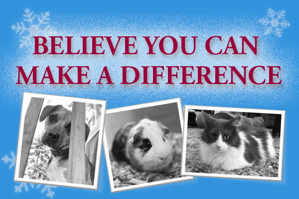 2024/2025 Annual Fund Drive - Animal Education & Rescue